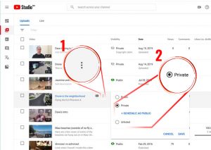 YouTube Private vs Unlisted: Which Should You Use?| Wiz Studio Blog