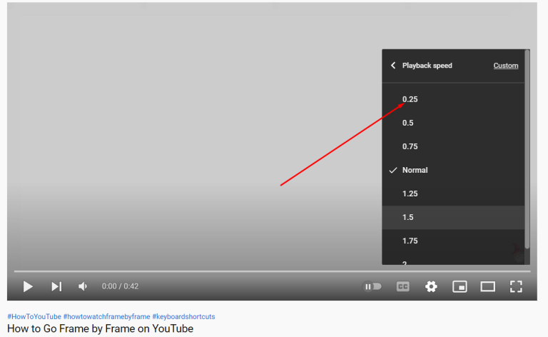 How to Go Frame by Frame on YouTube | WizStudio Blog